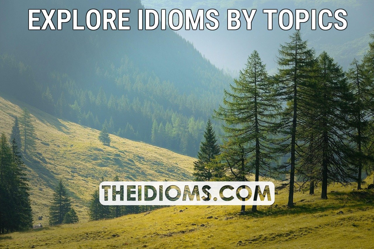 Explore Idioms by Topics - The Idioms