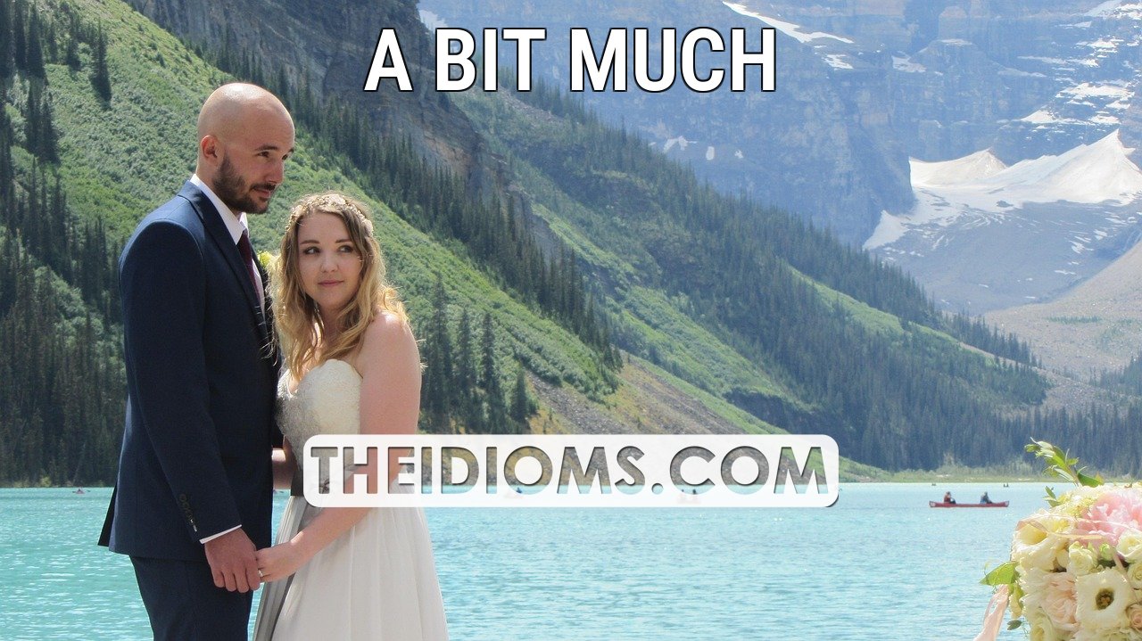 a bit much meaning, origin, example, sentence, history