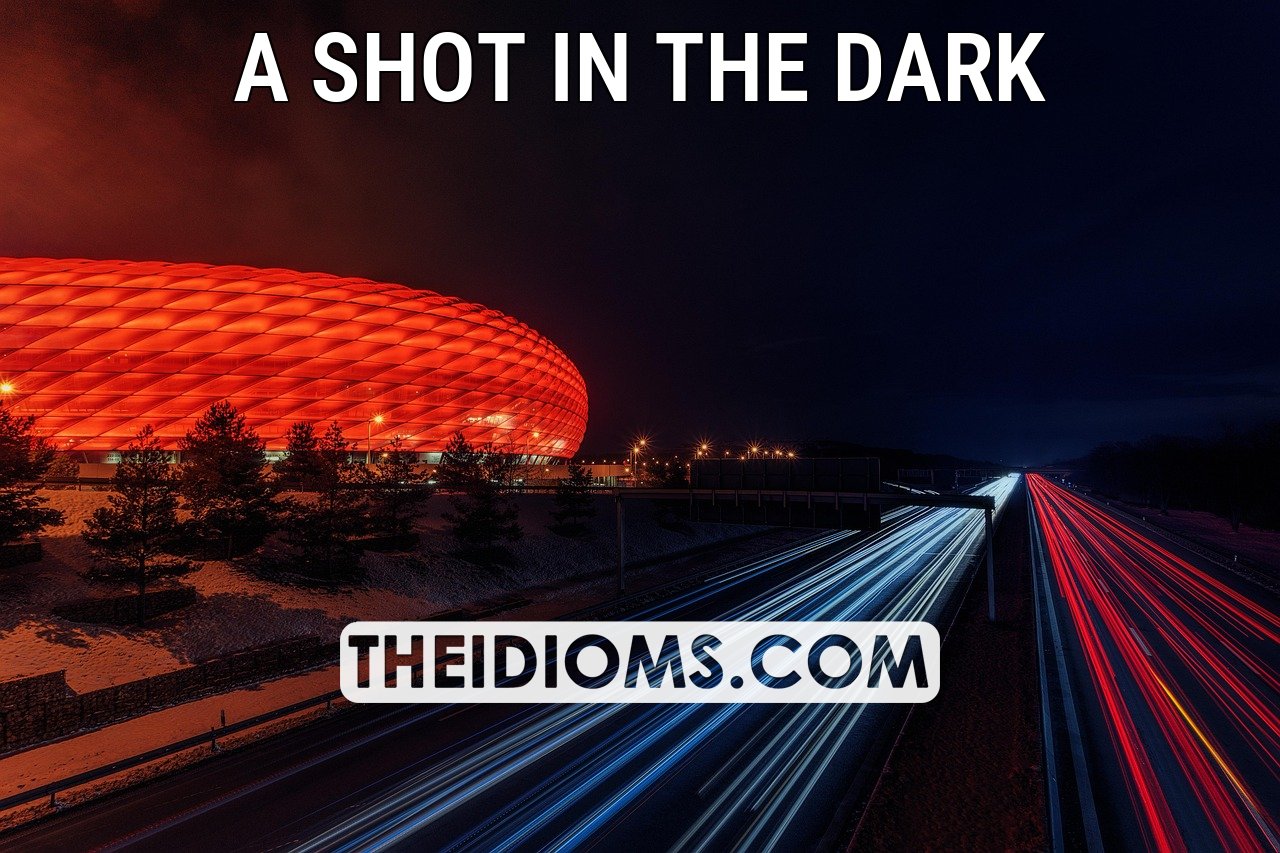 a shot in the dark meaning, origin, example, sentence, history