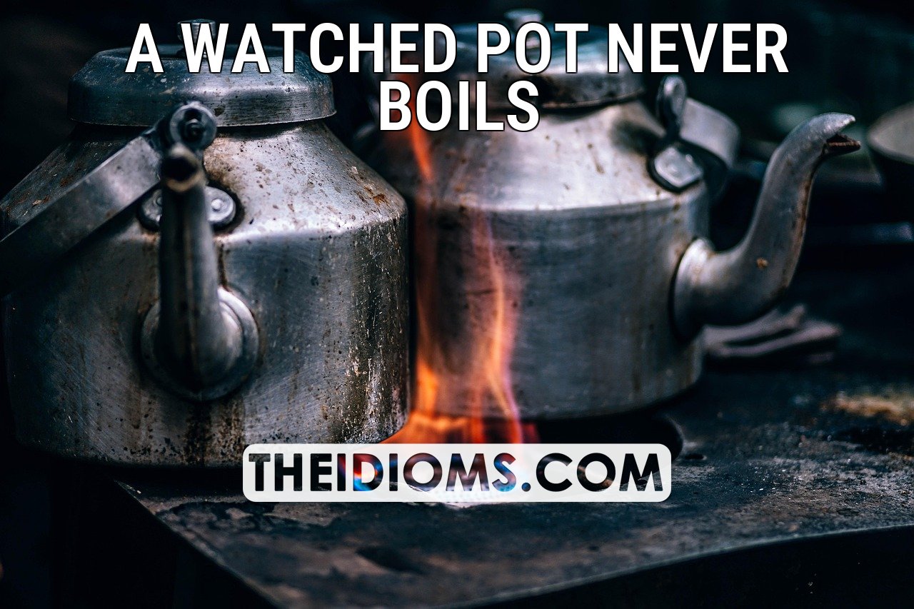 a watched pot never boils meaning, origin, example, sentence, history