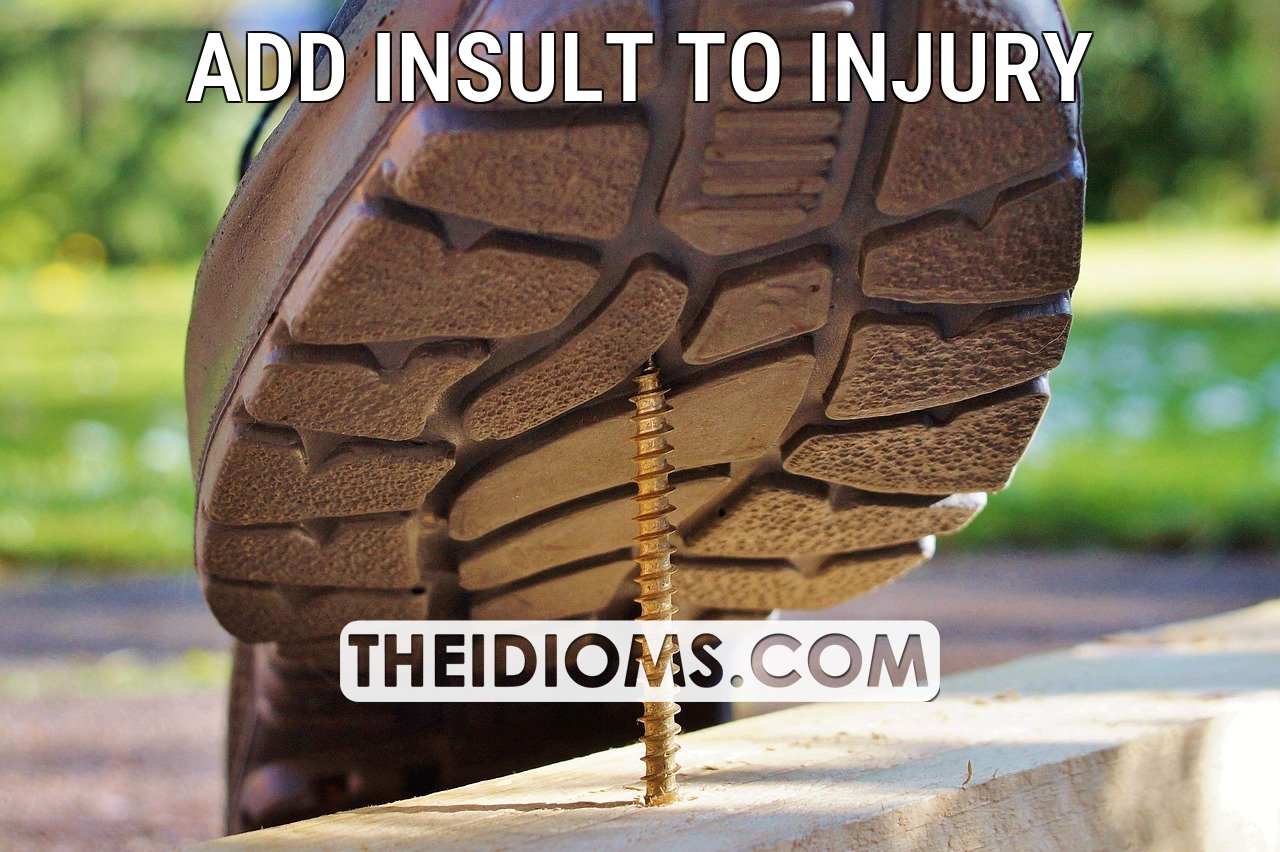 add insult to injury meaning, origin, example, sentence, history