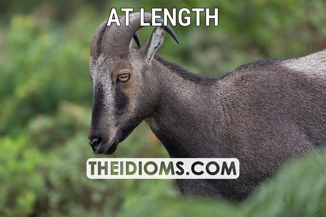 at length meaning, origin, example, sentence, history