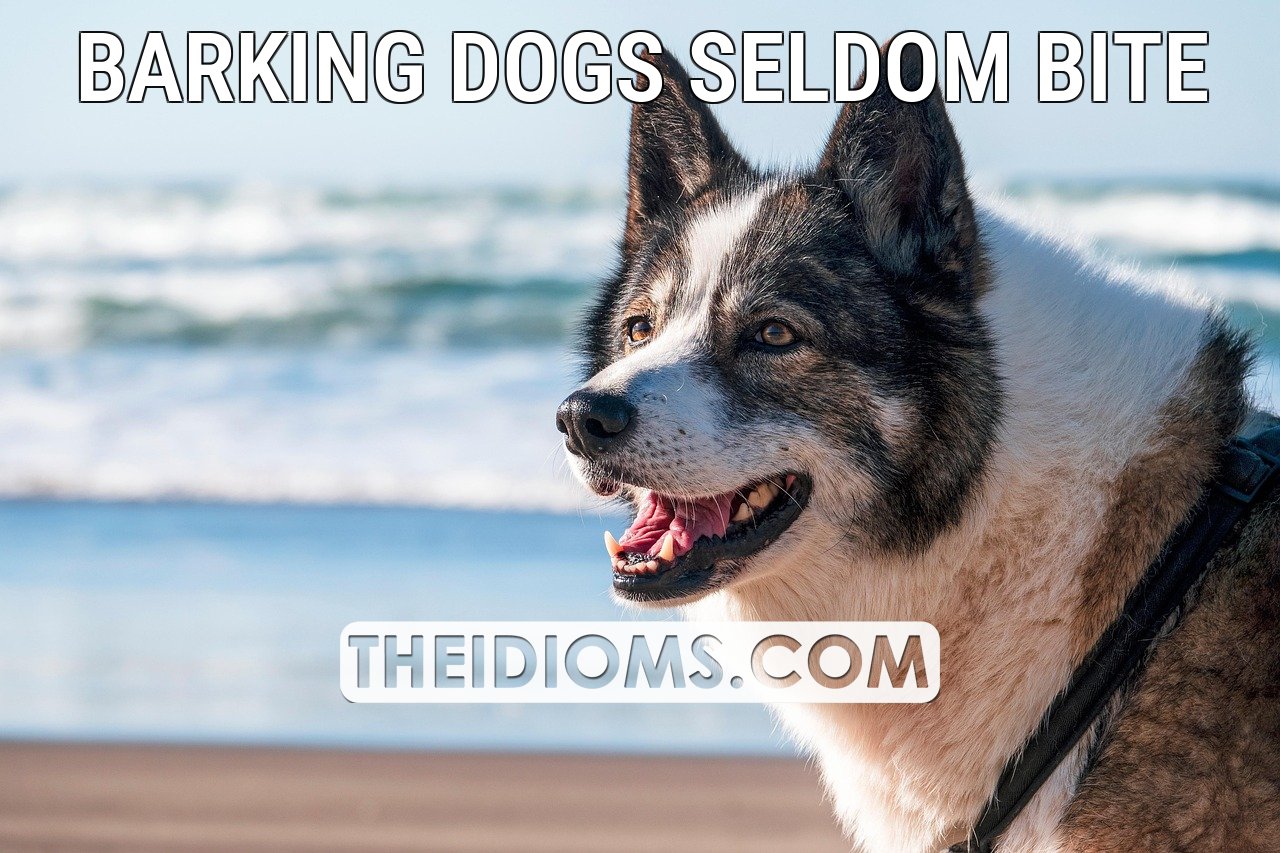 barking dogs seldom bite meaning, origin, example, sentence, history
