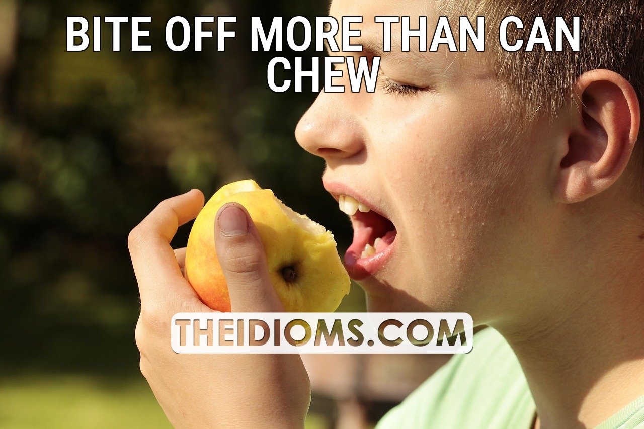 bite off more than can chew meaning, origin, example, sentence, history