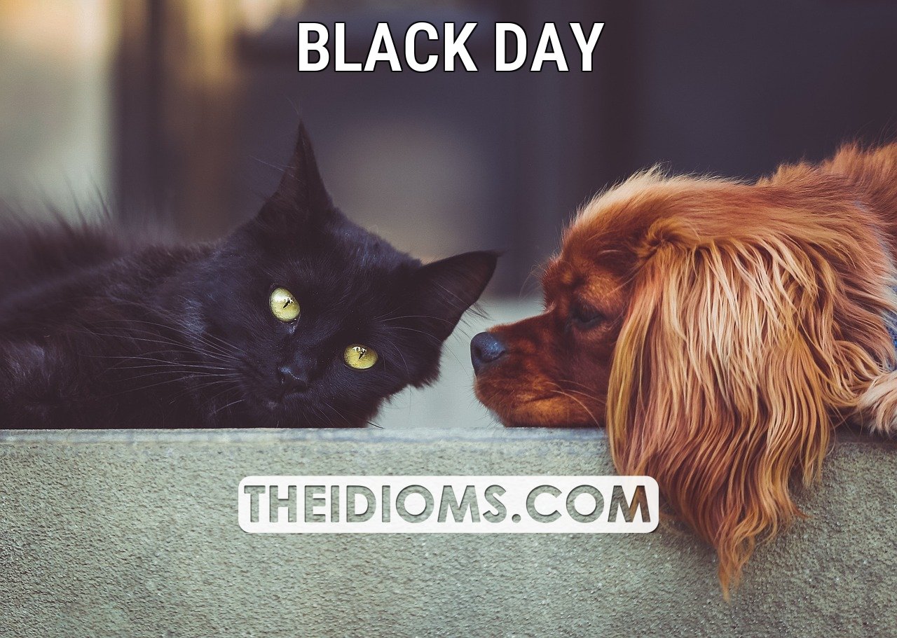 black day meaning, origin, example, sentence, history