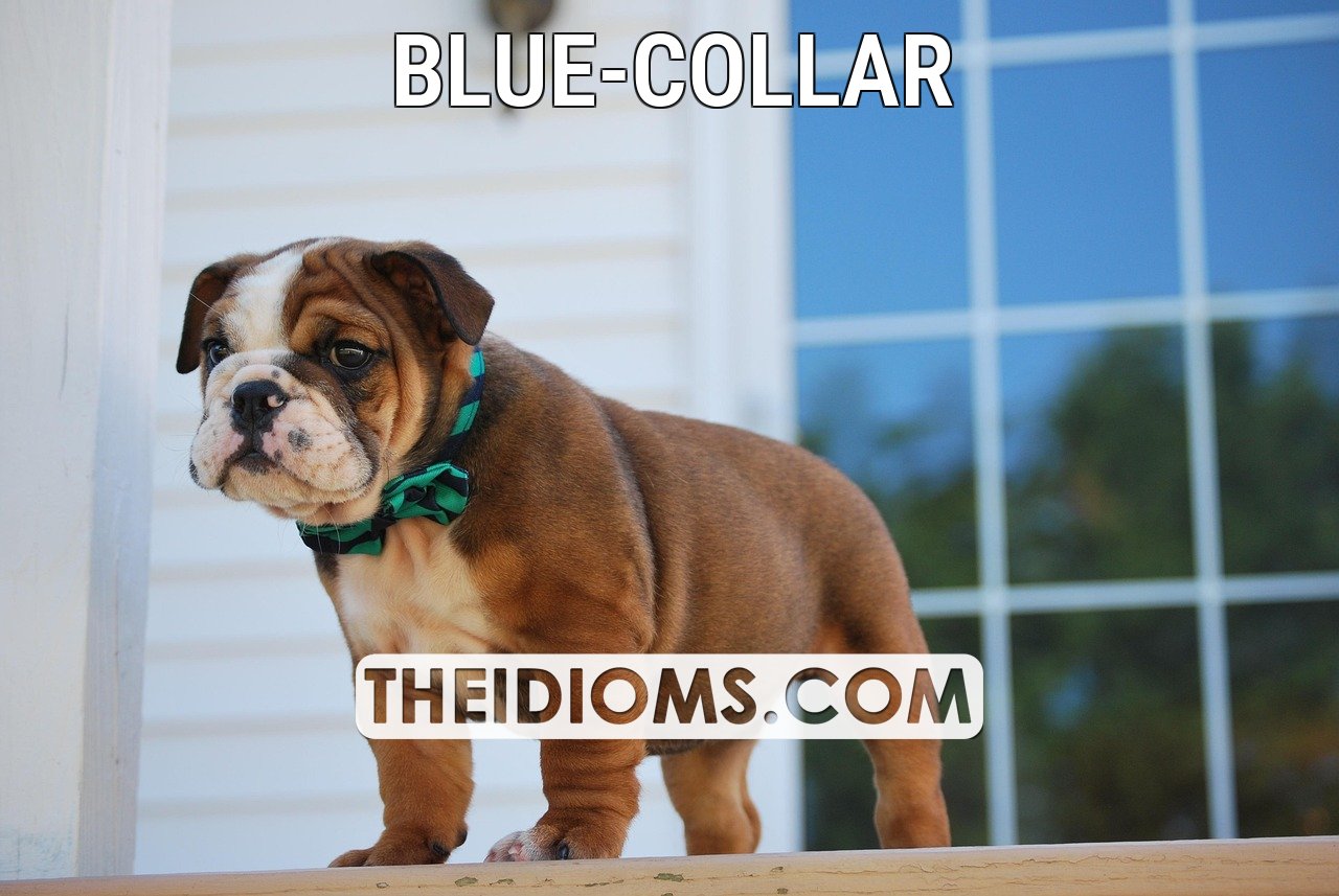 blue-collar meaning, origin, example, sentence, history