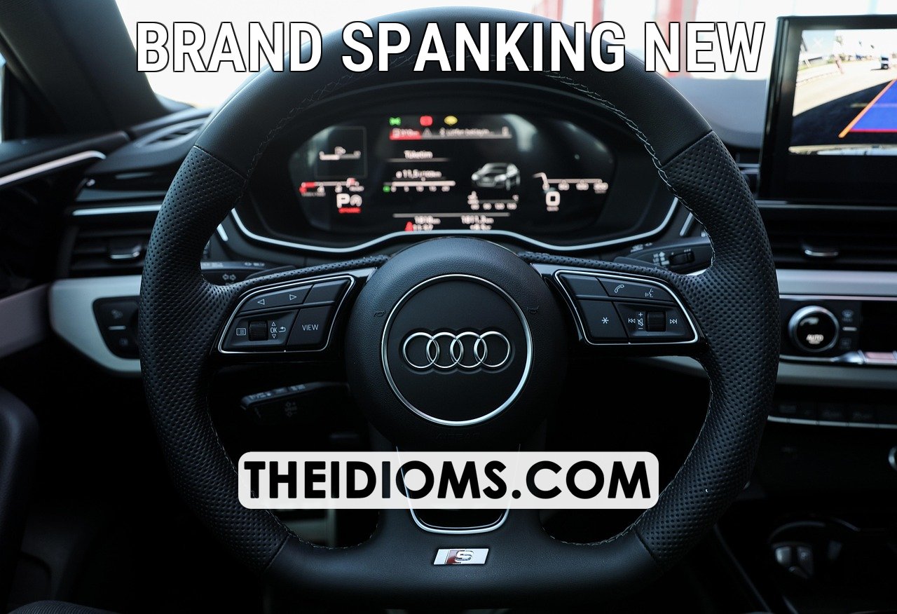 brand spanking new meaning, origin, example, sentence, history