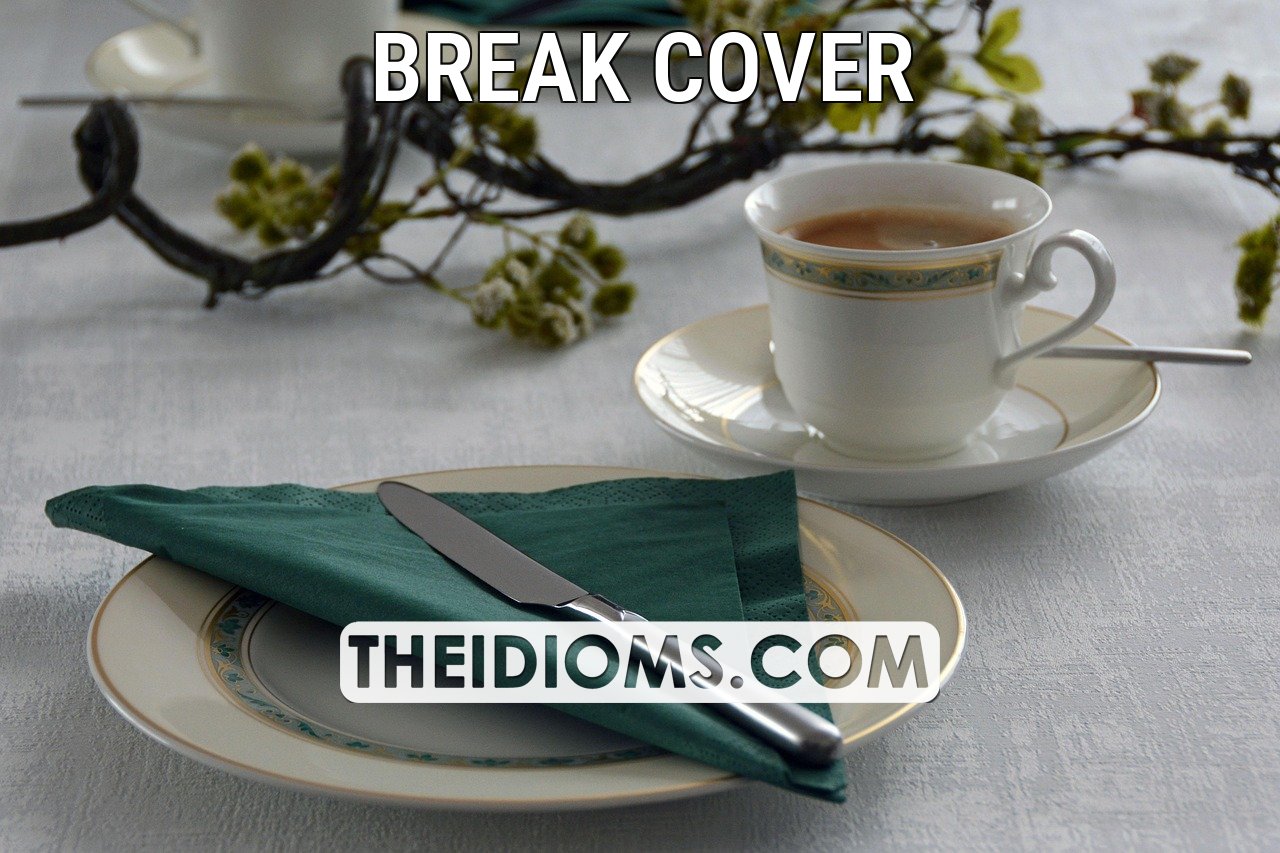 break cover meaning, origin, example, sentence, history