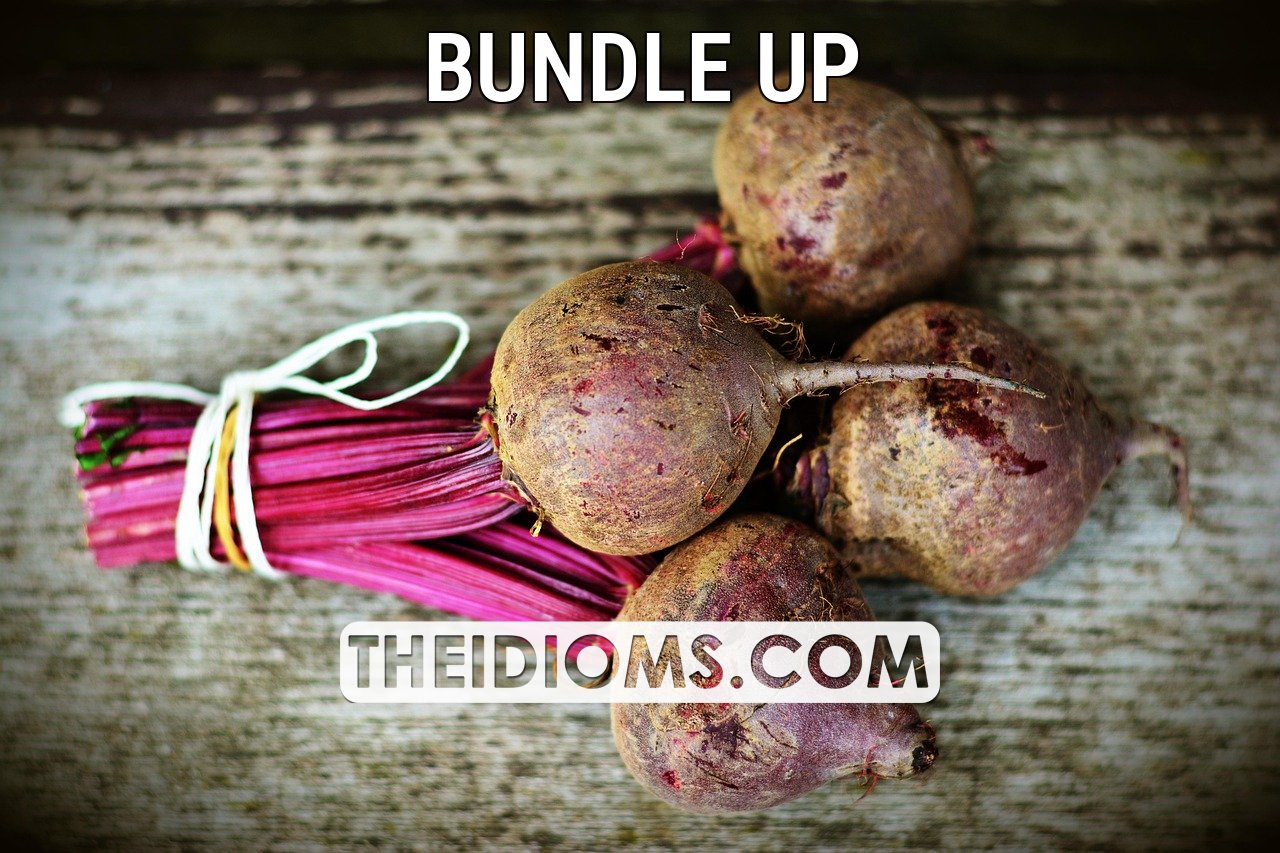 bundle up meaning, origin, example, sentence, history