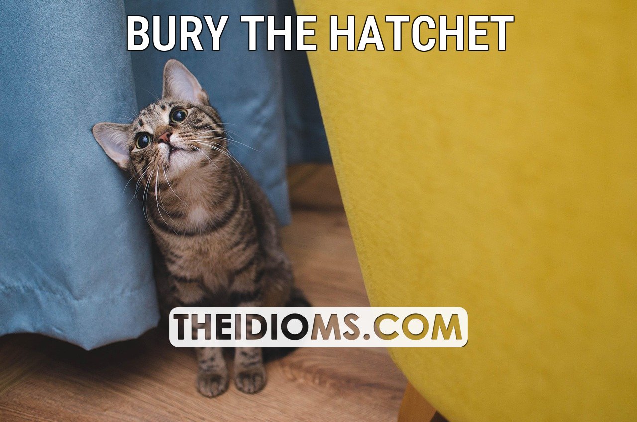 bury the hatchet meaning, origin, example, sentence, history