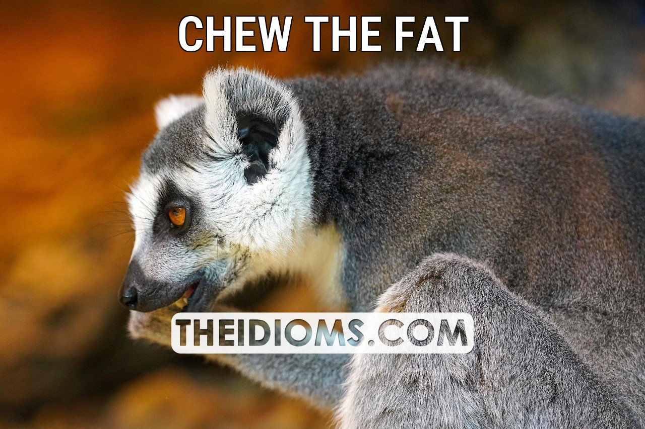 chew the fat meaning, origin, example, sentence, history