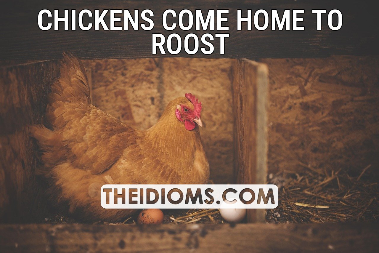chickens come home to roost meaning, origin, example, sentence, history