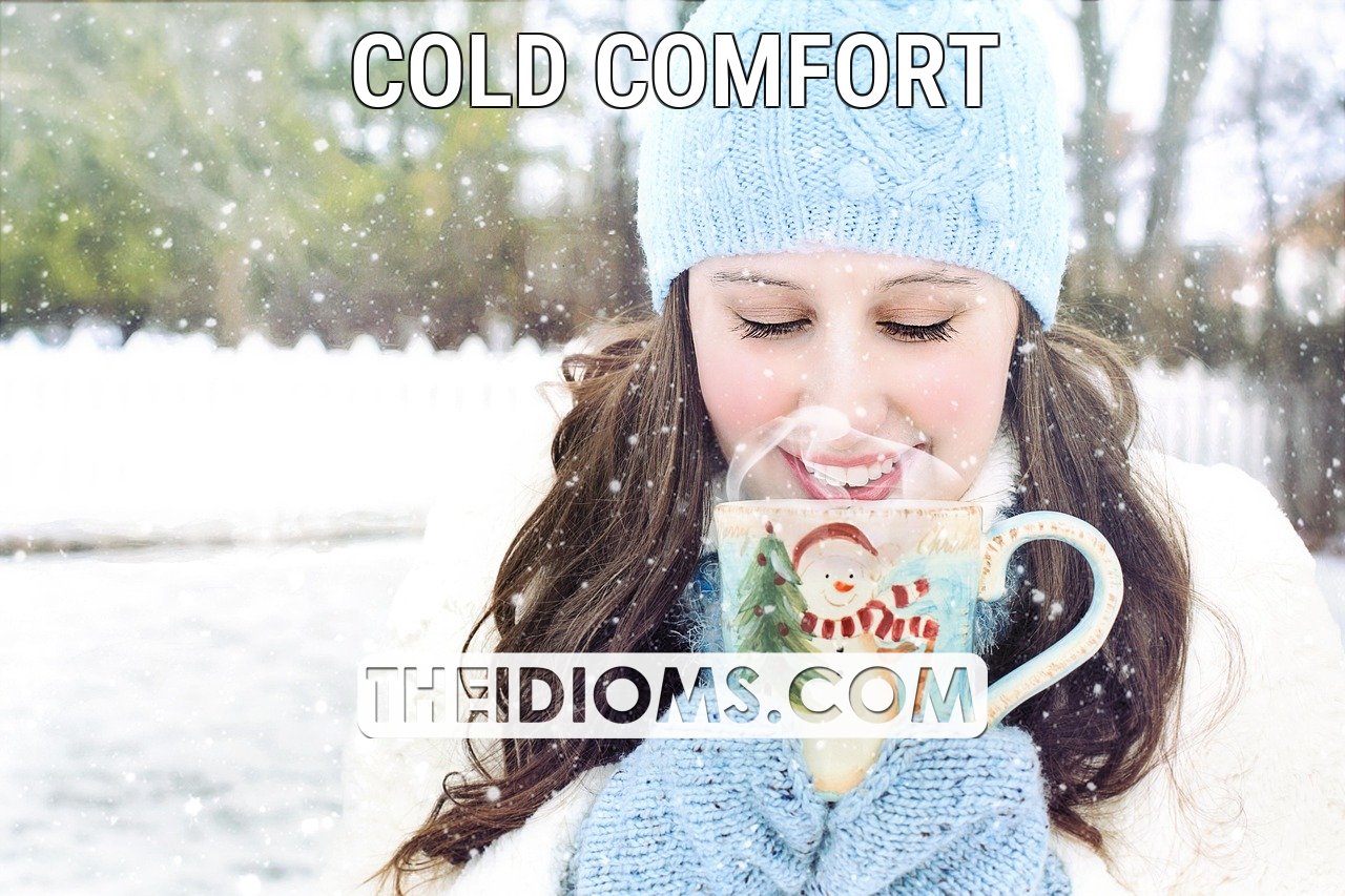 cold comfort meaning, origin, example, sentence, history