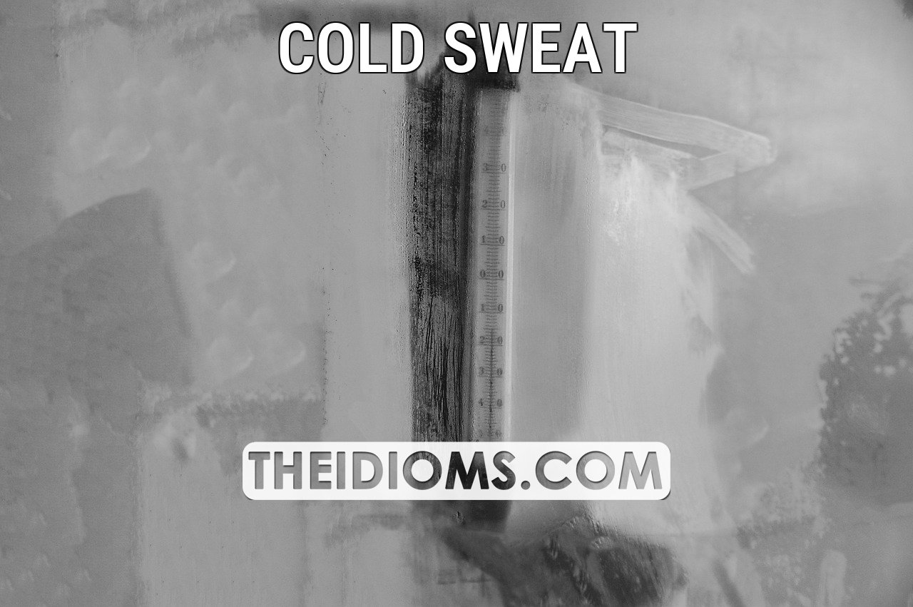 cold sweat meaning, origin, example, sentence, history