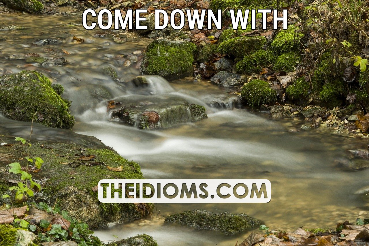 come down with meaning, origin, example, sentence, history