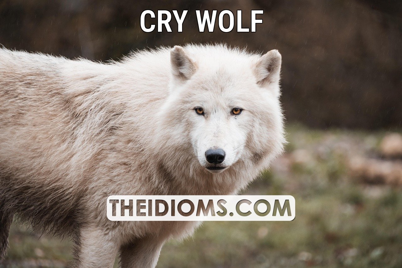 cry wolf meaning, origin, example, sentence, history