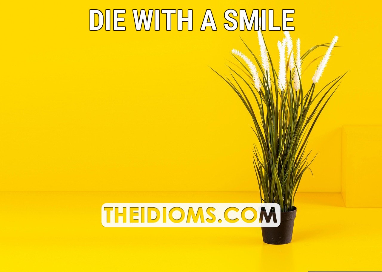 die with a smile meaning, origin, example, sentence, etymology