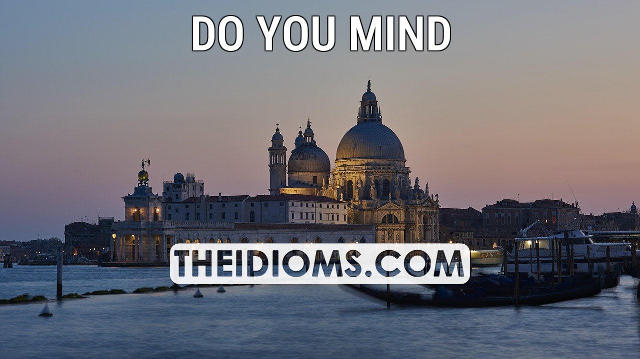 do you mind meaning, origin, example, sentence, history