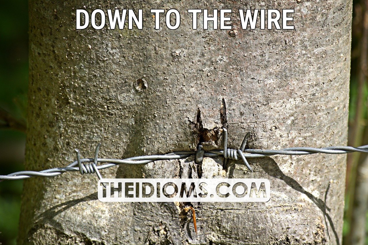 down to the wire meaning, origin, example, sentence, history