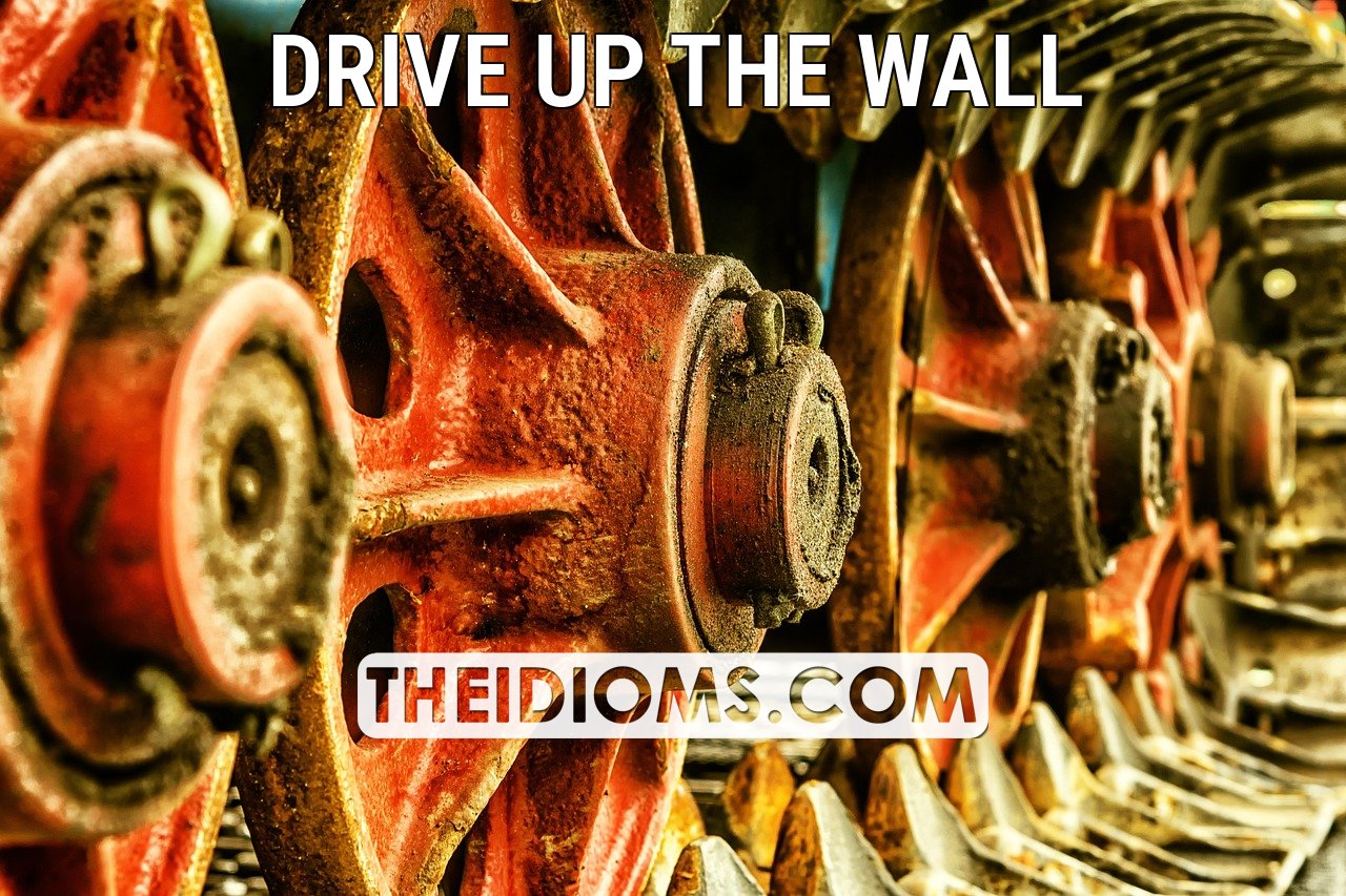 drive up the wall meaning, origin, example, sentence, history