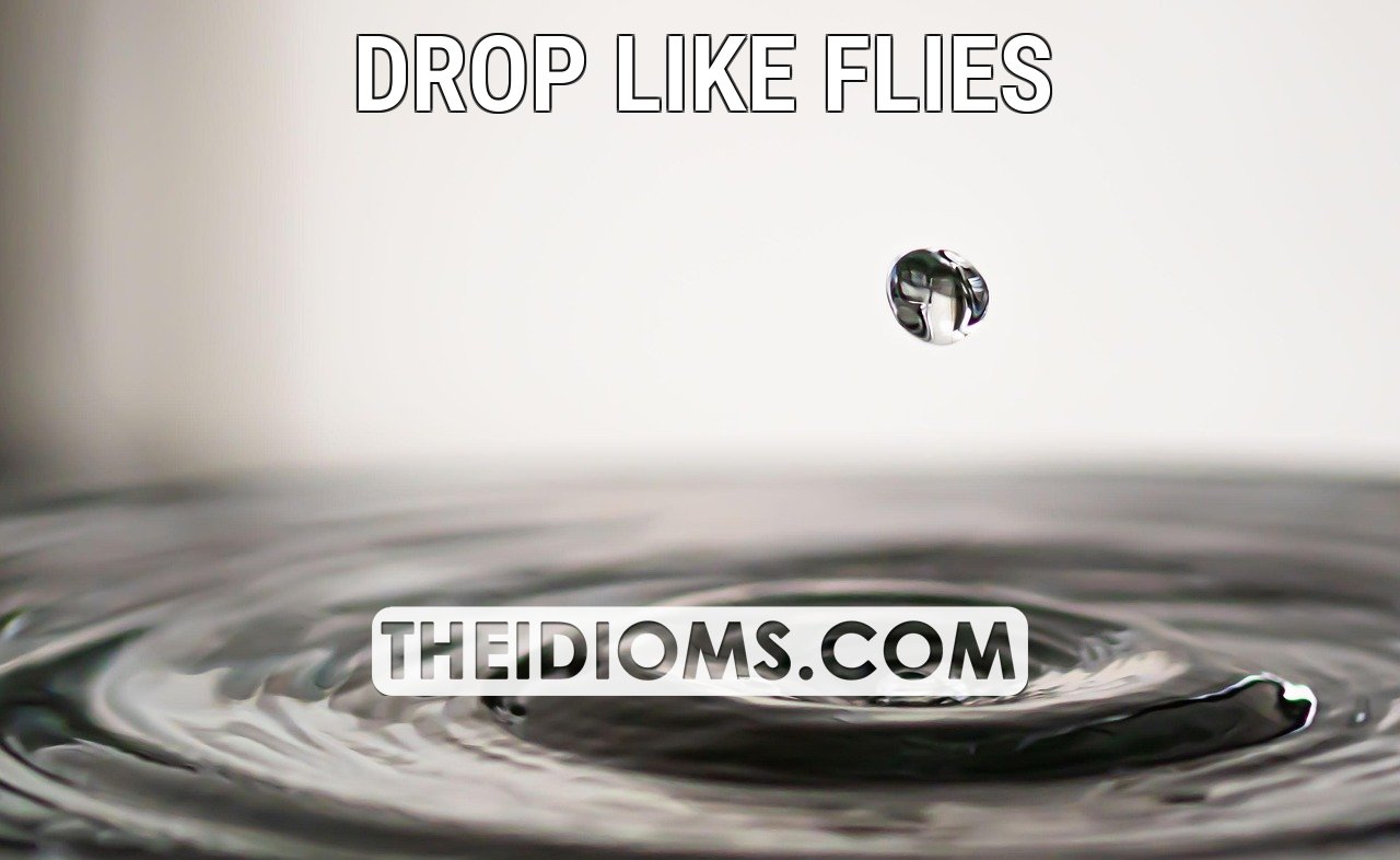 drop like flies meaning, origin, example, sentence, history