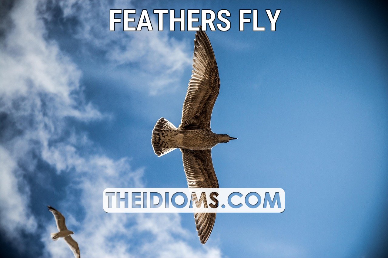 feathers fly meaning, origin, example, sentence, history