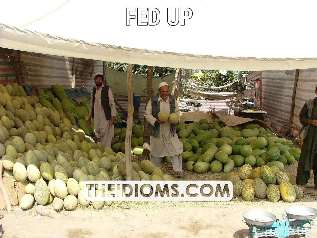 fed up meaning, origin, example, sentence, history