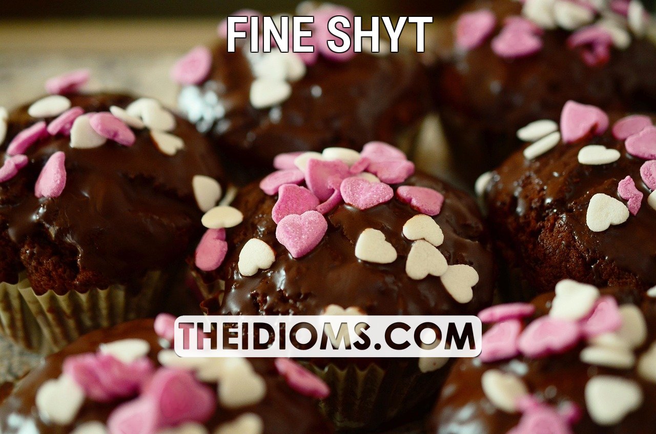 fine shyt meaning, origin, example, sentence, history