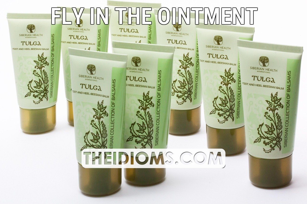 fly in the ointment meaning, origin, example, sentence, history