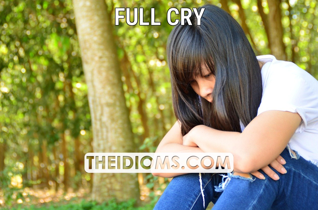 full cry meaning, origin, example, sentence, history