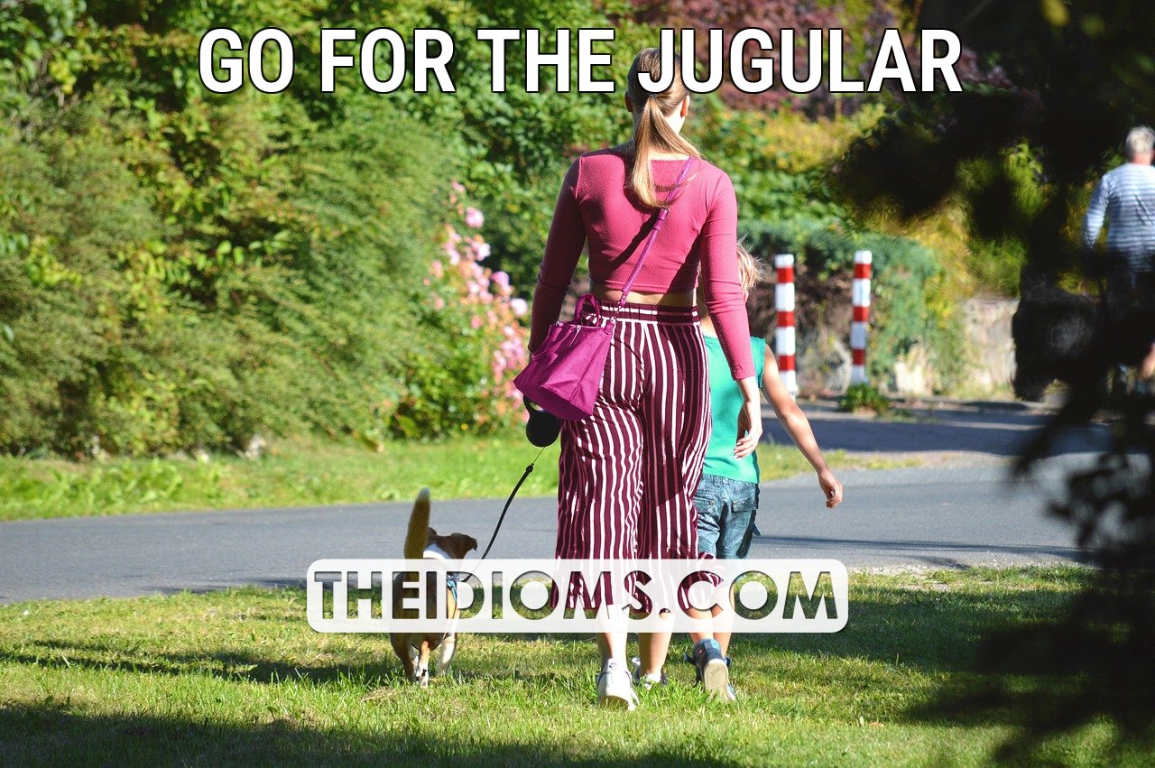 go for the jugular meaning, origin, example, sentence, history