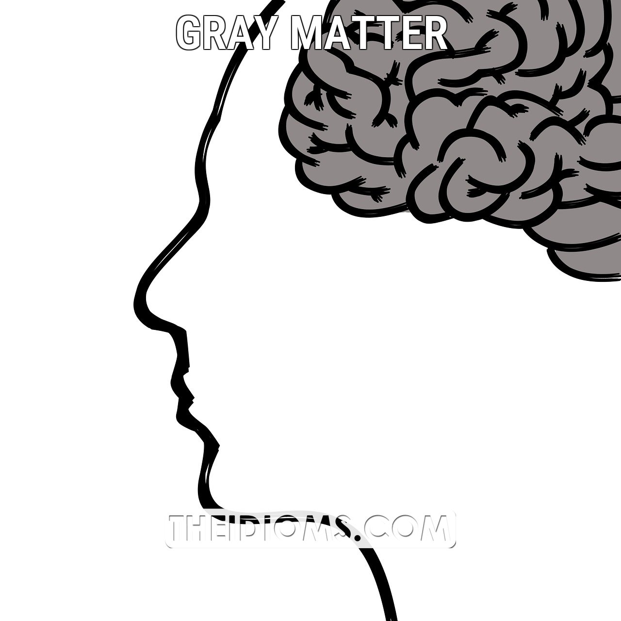 gray matter meaning, origin, example, sentence, history