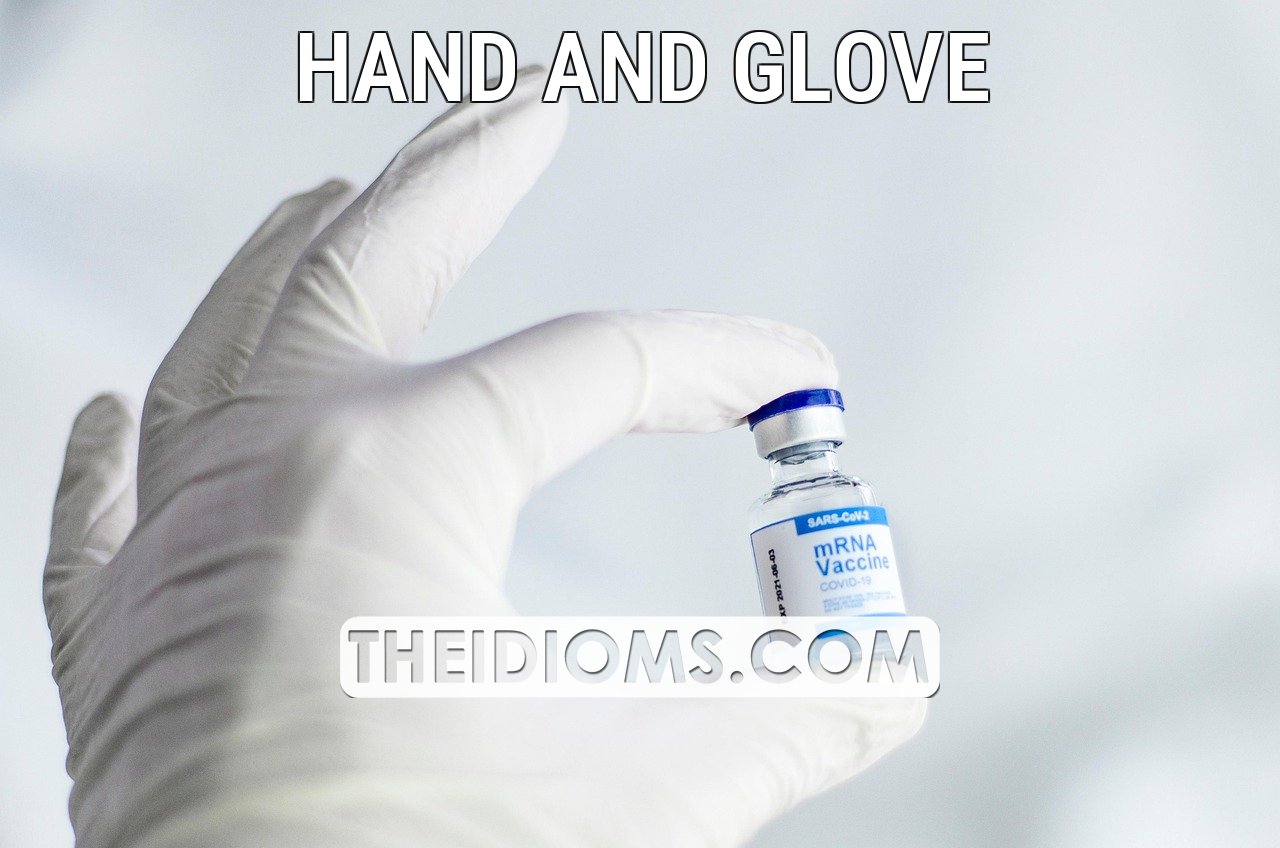 hand and glove meaning, origin, example, sentence, history
