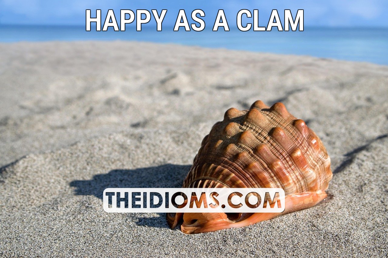 happy as a clam meaning, origin, example, sentence, history