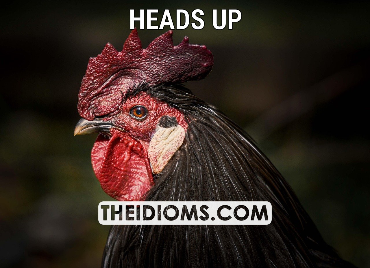 heads up meaning, origin, example, sentence, history