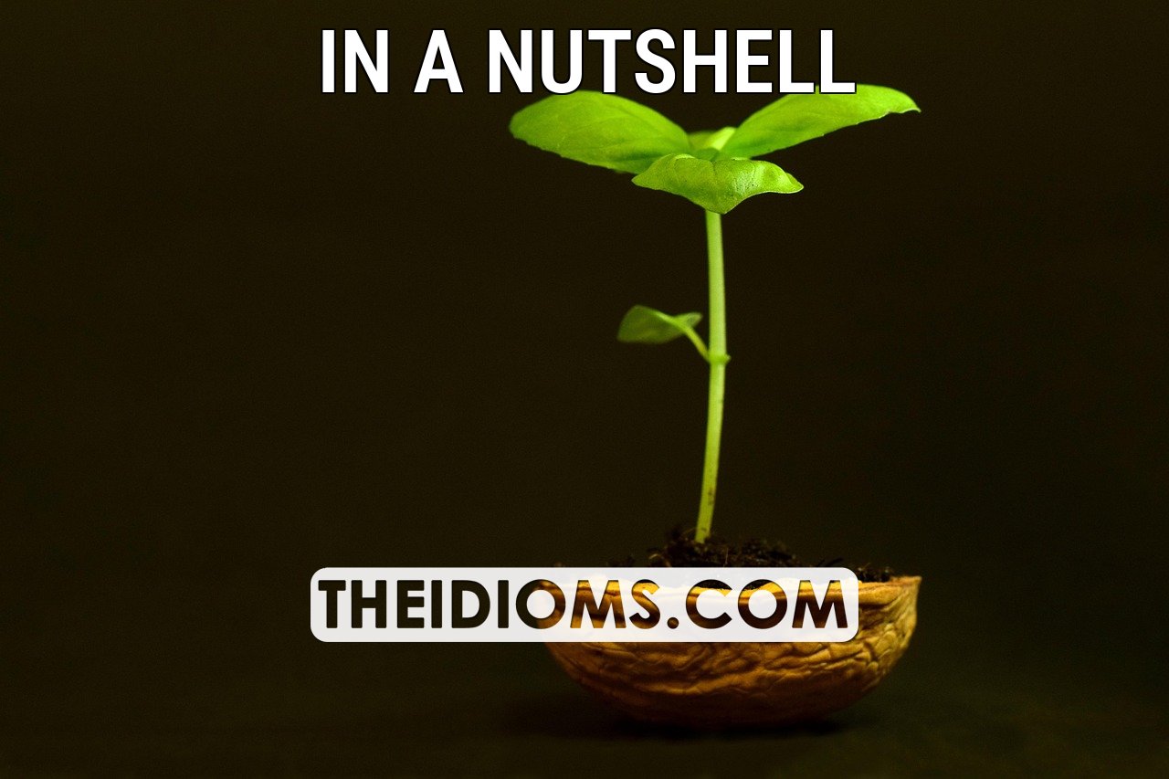 in a nutshell meaning, origin, example, sentence, history