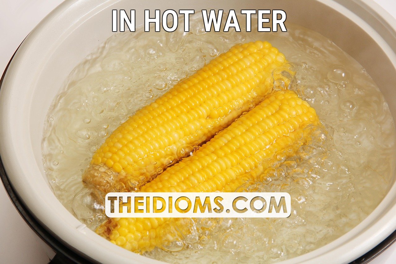 in hot water meaning, origin, example, sentence, etymology