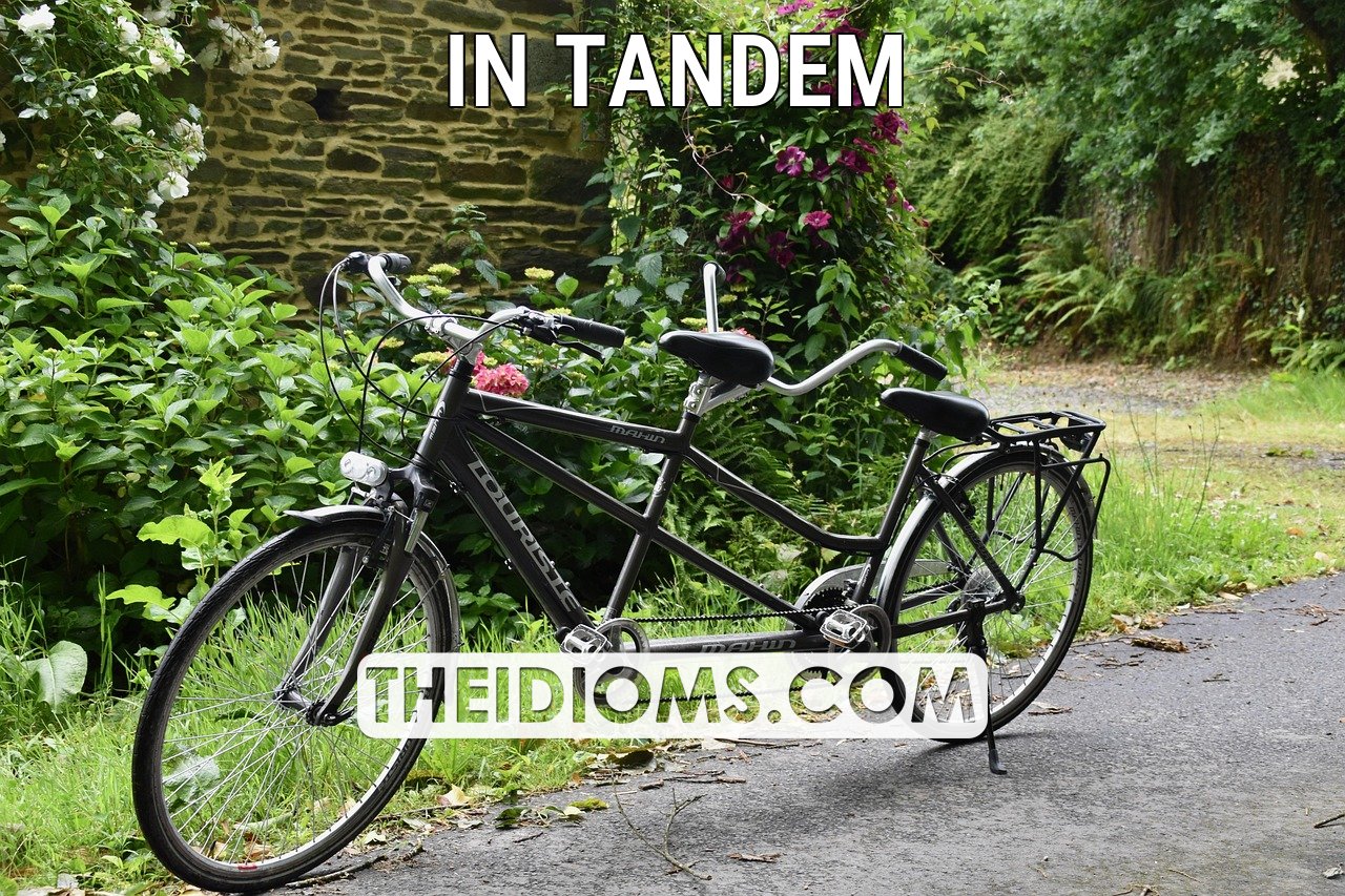 in tandem meaning, origin, example, sentence, history