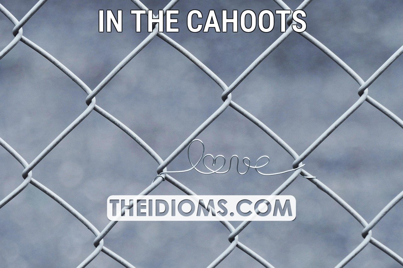 in the cahoots meaning, origin, example, sentence, history