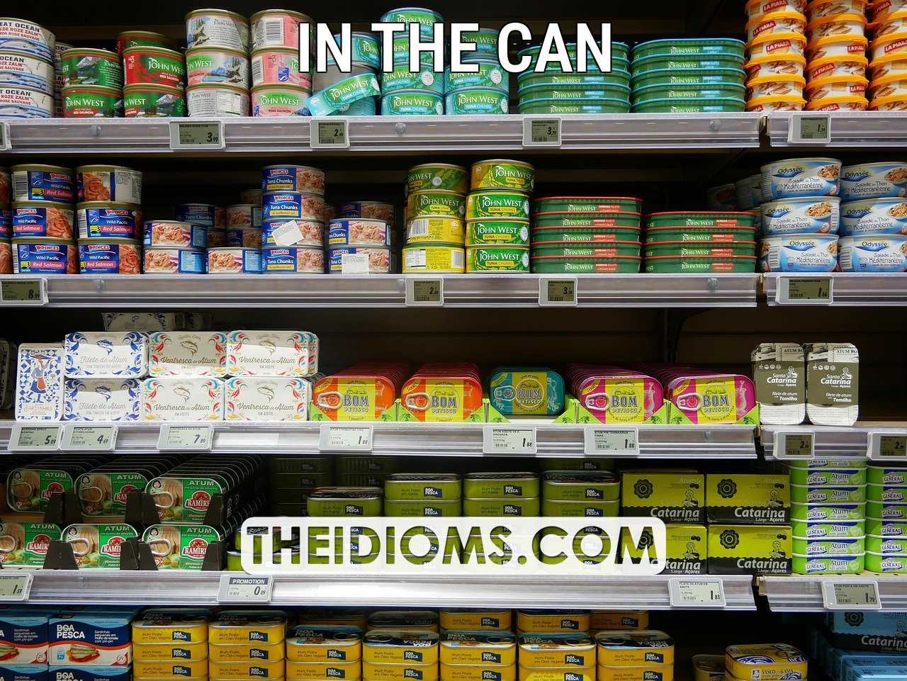 in the can meaning, origin, example, sentence, history