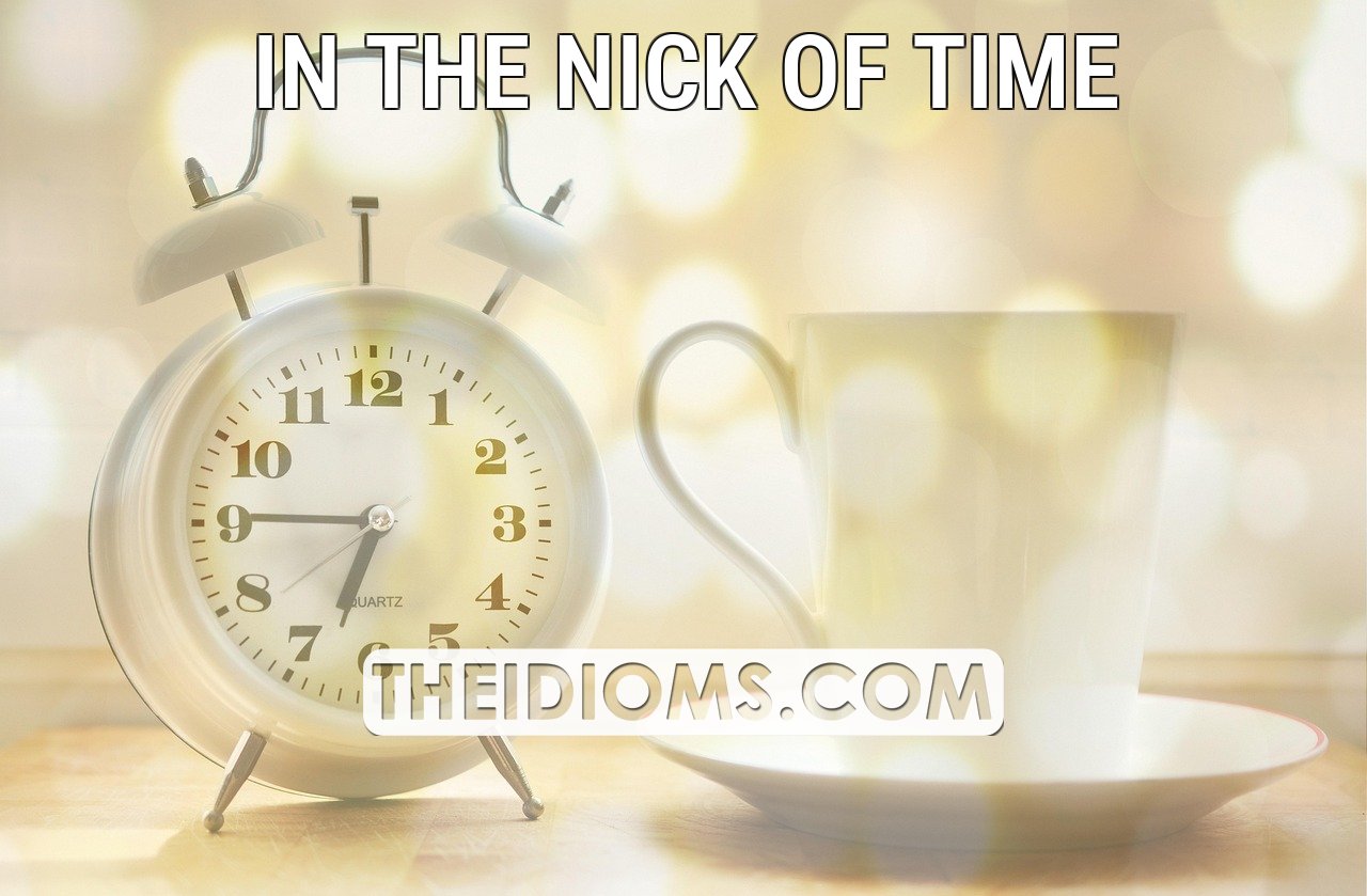 in the nick of time meaning, origin, example, sentence, history