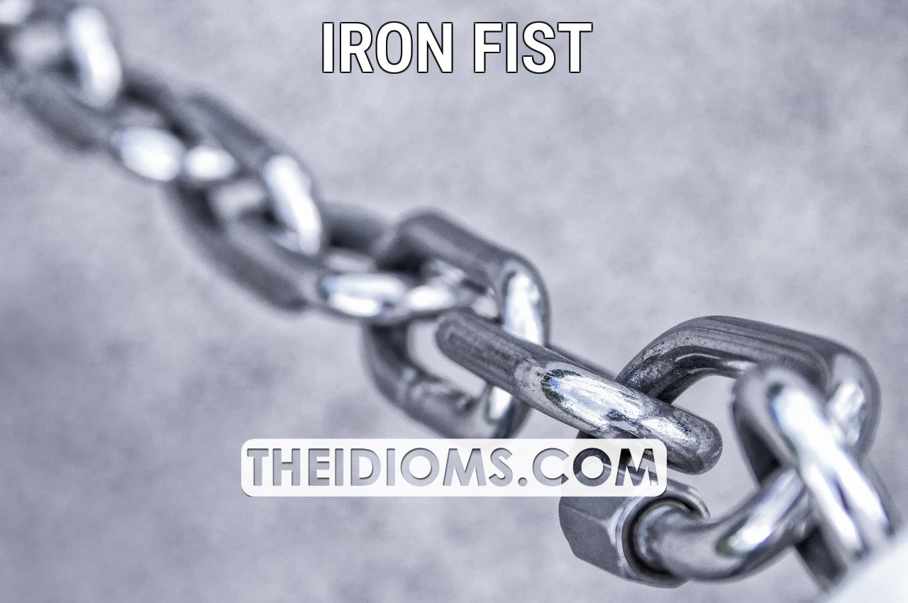 iron fist meaning, origin, example, sentence, history