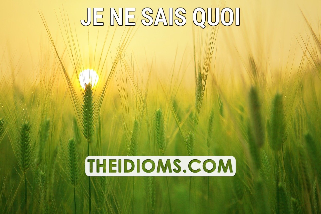 je ne sais quoi meaning, origin, example, sentence, history