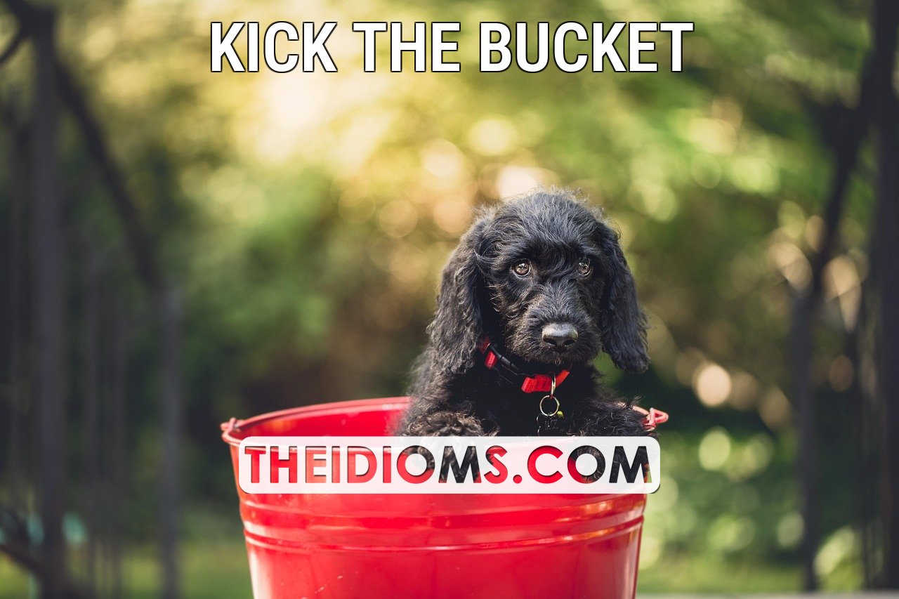 kick the bucket meaning, origin, example, sentence, history