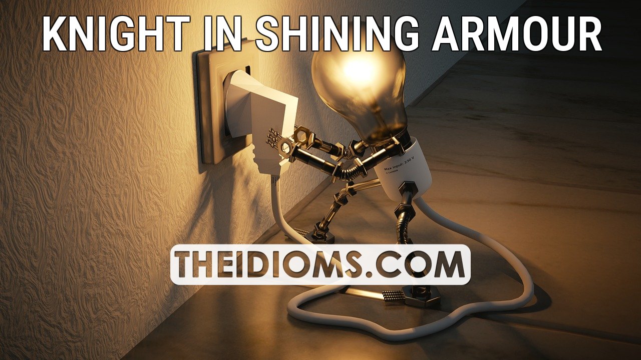 knight in shining armour meaning, origin, example, sentence, history