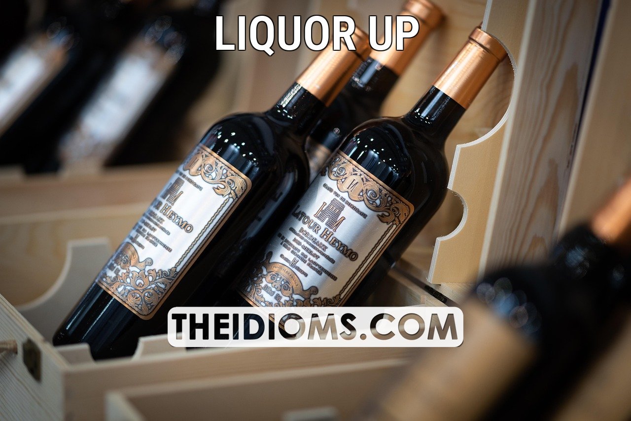 liquor up meaning, origin, example, sentence, history