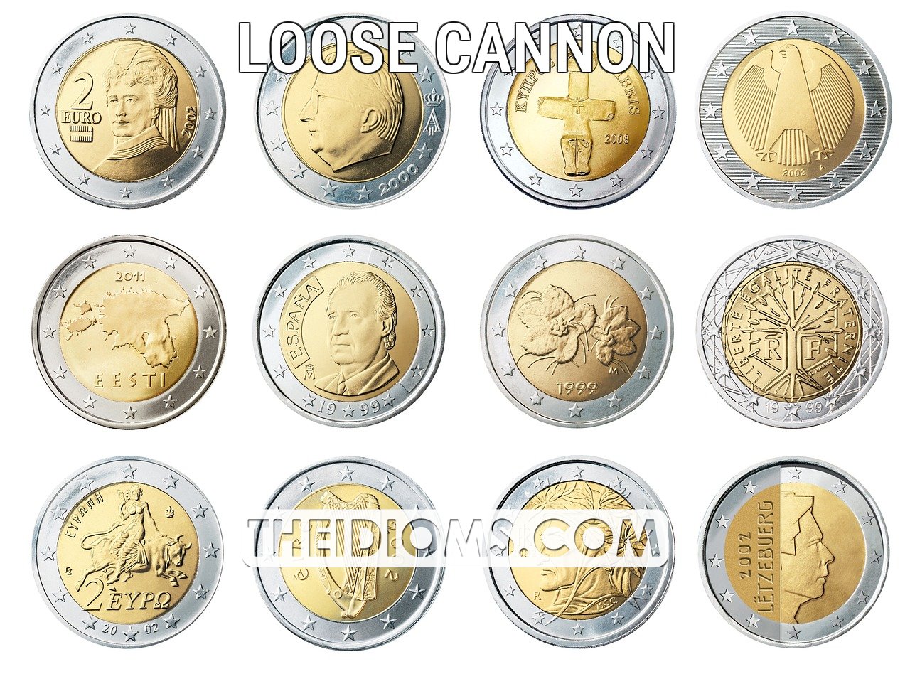 loose cannon meaning, origin, example, sentence, history