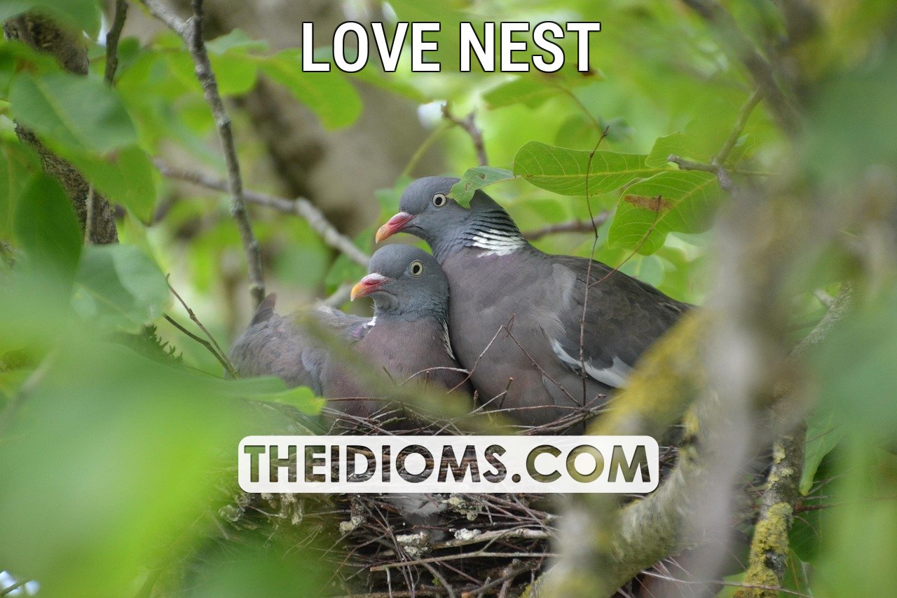 love nest meaning, origin, example, sentence, history