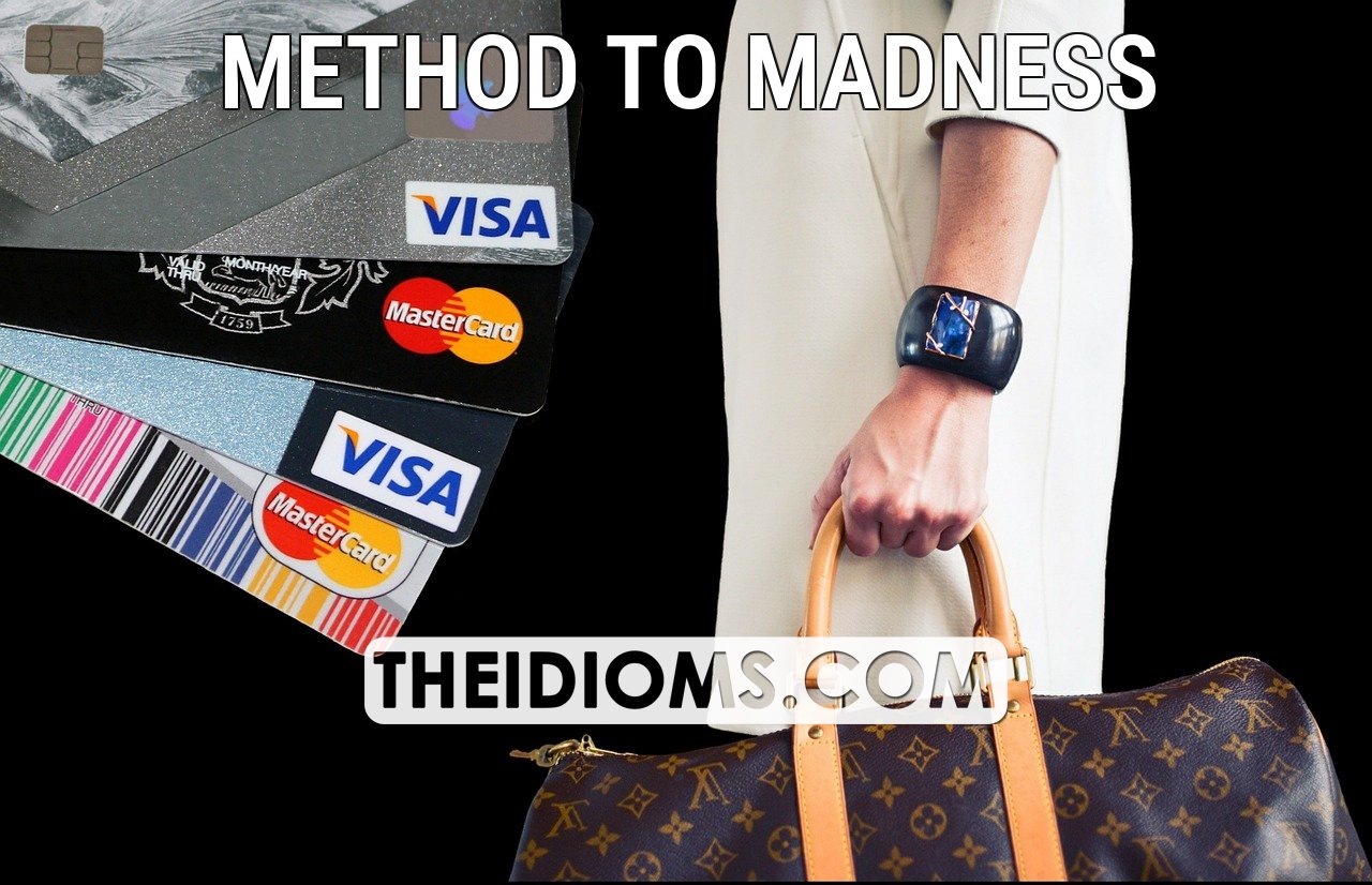 method to madness meaning, origin, example, sentence, history