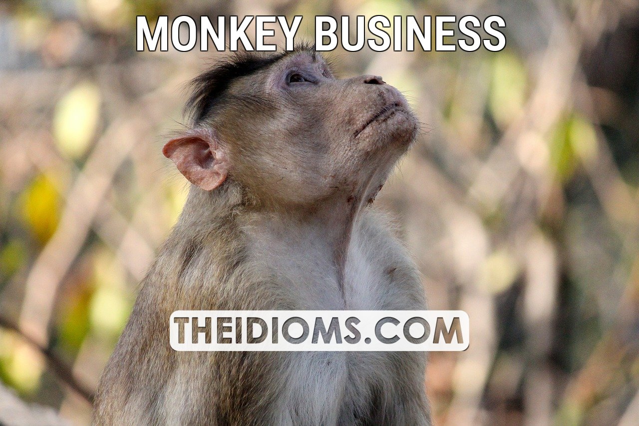monkey business meaning, origin, example, sentence, history